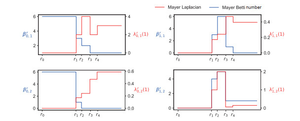 Persistent Mayer homology and persistent Mayer Laplacian