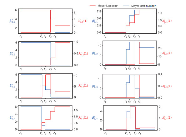 Persistent Mayer homology and persistent Mayer Laplacian