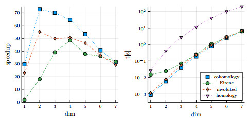 Fast computation of persistent homology representatives with involuted ...