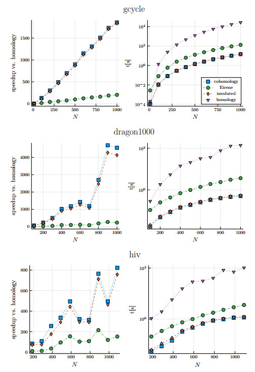 Fast computation of persistent homology representatives with involuted ...