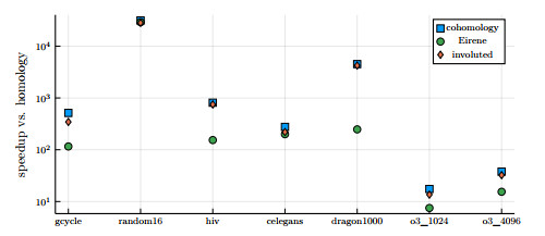 Fast computation of persistent homology representatives with involuted ...
