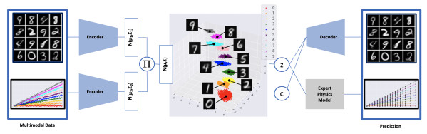 Unsupervised physics-informed disentanglement of multimodal data
