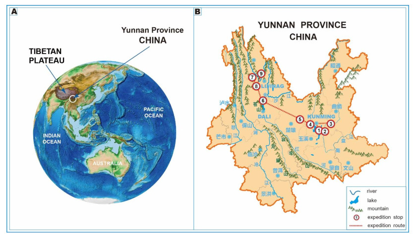 Walking through a 500-million-year geologic history of Yunnan, China: A ...