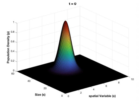 Analysis of diffusive size-structured population model and optimal birth control