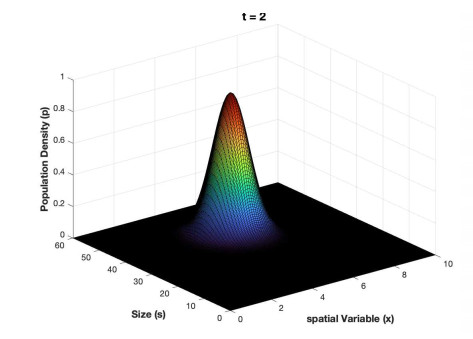 Analysis of diffusive size-structured population model and optimal birth control