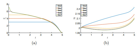 Optimal control for a free boundary tumor growth model