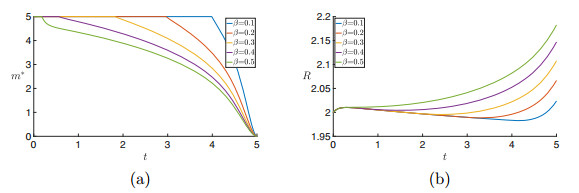 Optimal control for a free boundary tumor growth model