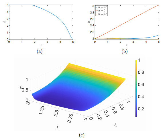 Optimal control for a free boundary tumor growth model