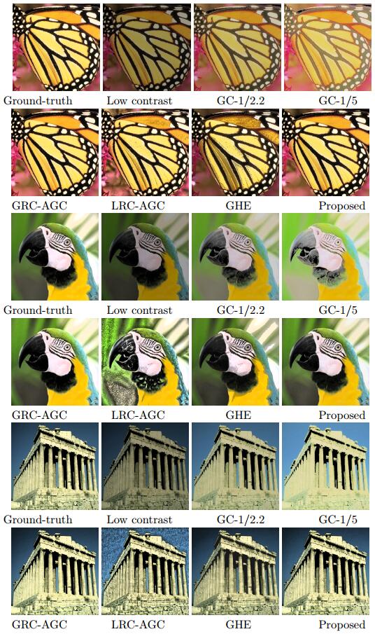 A variational gamma correction model for image contrast enhancement