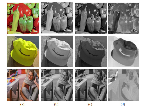 A colorization-based anisotropic variational model for vector-valued image compression
