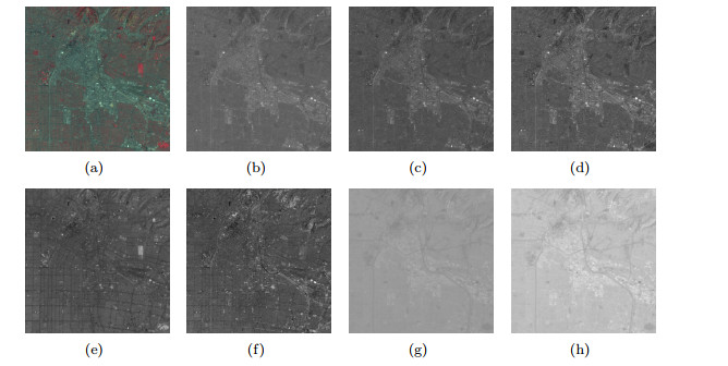 A colorization-based anisotropic variational model for vector-valued ...
