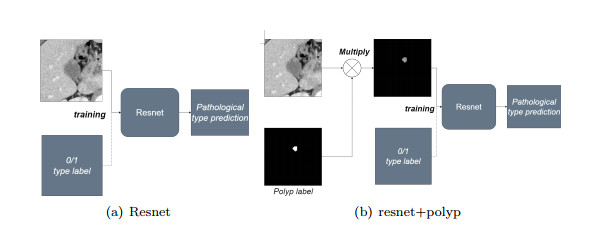 A distance function based cascaded neural network for accurate polyps segmentation and ...