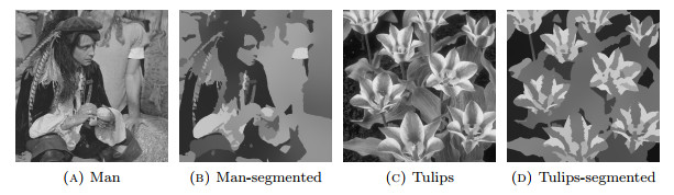 A preconditioned alternating minimization framework for nonconvex and half quadratic regularization