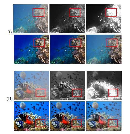 Variational image dehazing with a novel underwater dark channel prior