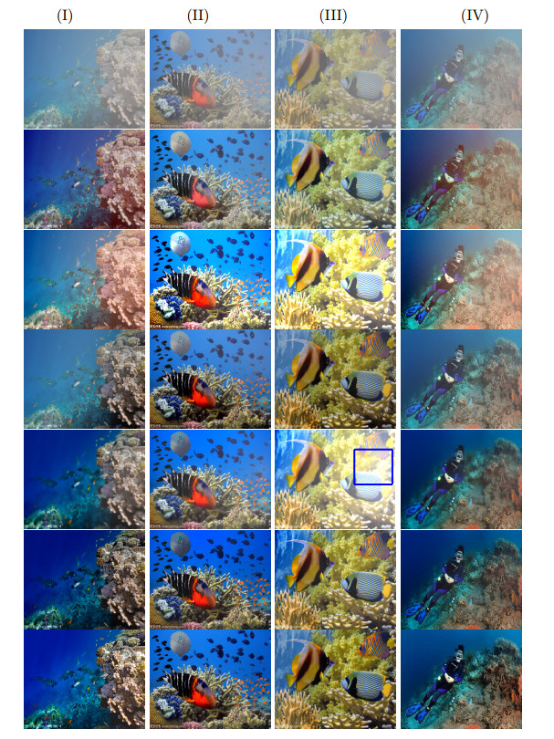 Variational image dehazing with a novel underwater dark channel prior