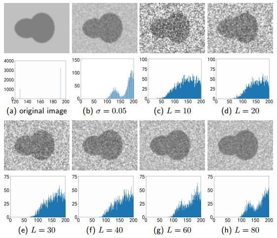 A variational image segmentation model with intensity correction in the presence of high level ...