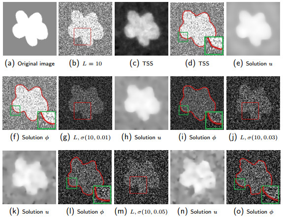 A variational image segmentation model with intensity correction in the presence of high level ...