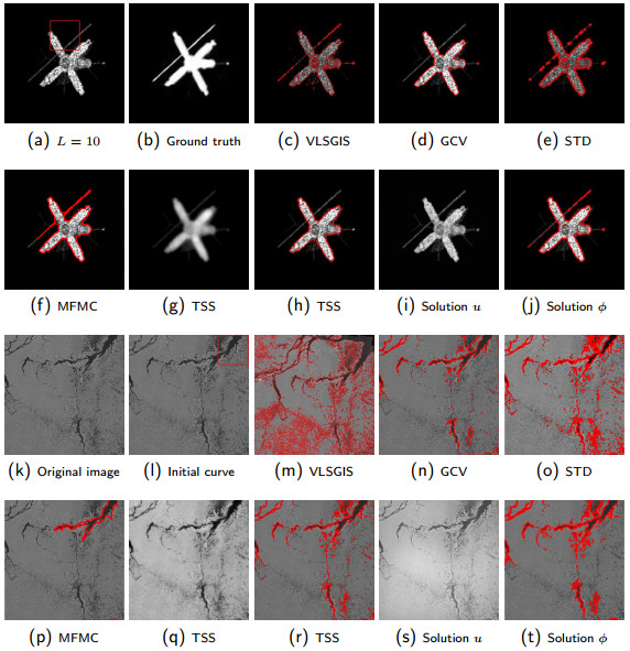 A variational image segmentation model with intensity correction in the presence of high level ...