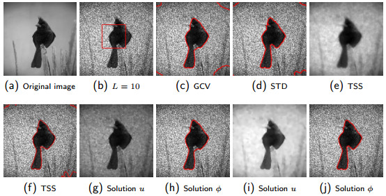 A variational image segmentation model with intensity correction in the presence of high level ...