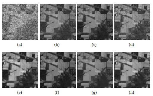 Hyperspectral image denoising via weighted double sparsity total ...