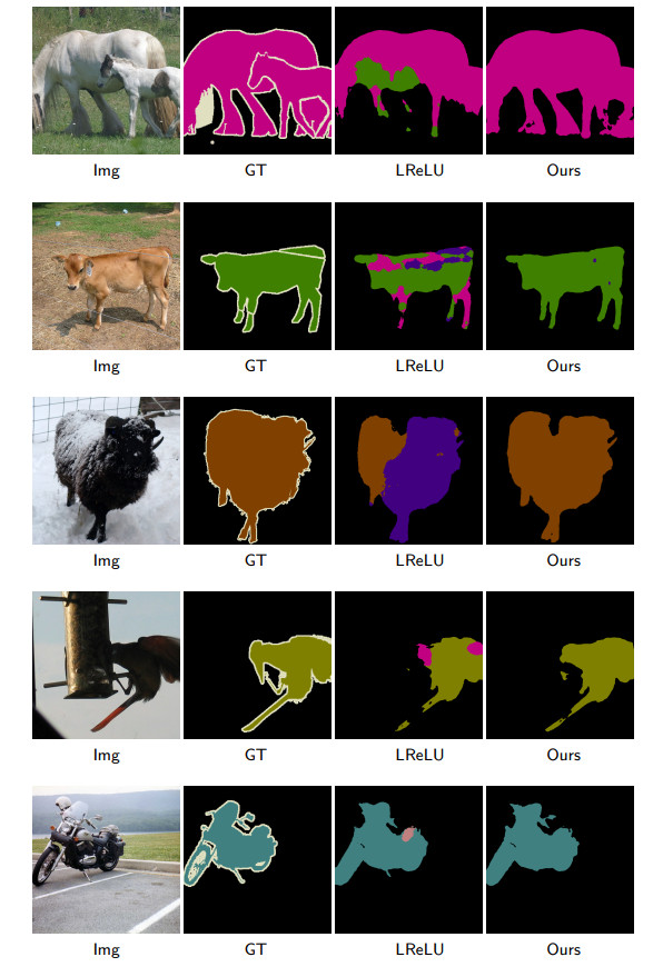 Spatially regularized Leaky ReLU in dual space for CNN based image ...