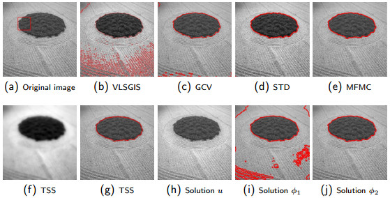 A variational image segmentation model with intensity correction in the presence of high level ...