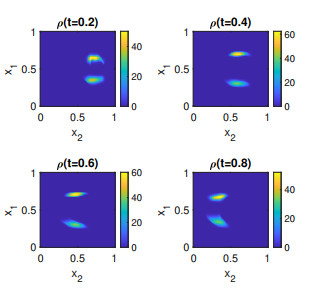 Dynamical optimal transport of nonlinear control-affine systems
