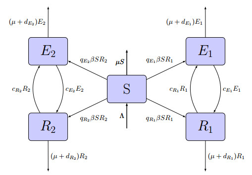 A bare-bones mathematical model of radicalization