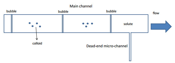 Computational optimal control of 1D colloid transport by solute ...