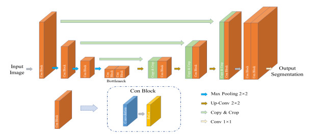Particle identification in particle tracking velocimetry using two ...