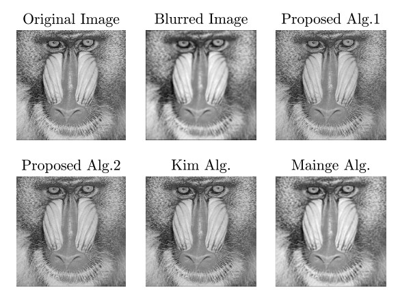 Generalized proximal point algorithms with correction terms and extrapolation