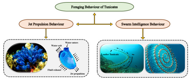 A novel reinforcement learning-inspired tunicate swarm algorithm for solving global optimization ...