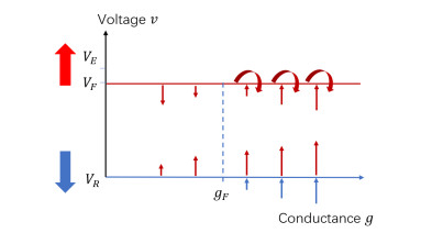 A voltage-conductance kinetic system from neuroscience: Probabilistic reformulation and ...