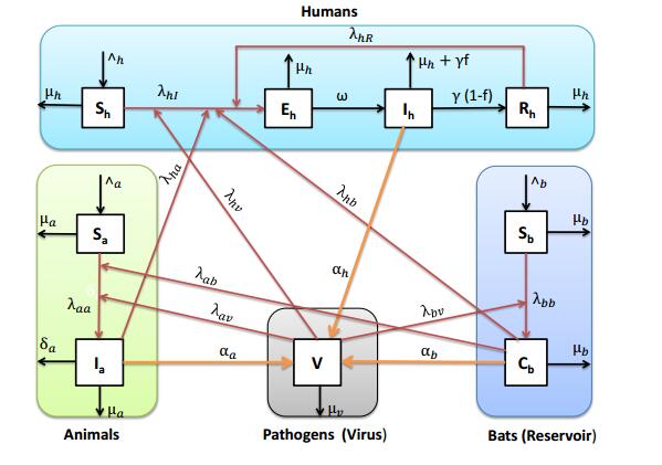 Modeling Ebola Virus Disease transmissions with reservoir in a complex ...