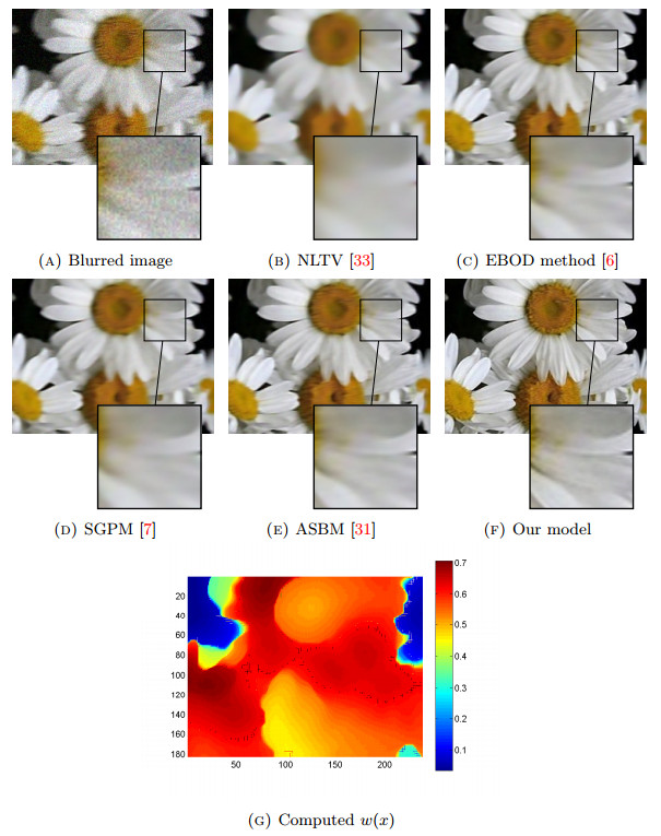 Enhancing deblurring through optimal controlled bilevel with nonlocal weighted model