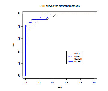 One-step sparse ridge estimation with folded concave penalty