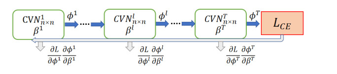 A trainable variational Chan-Vese network based on algorithm unfolding for image segmentation