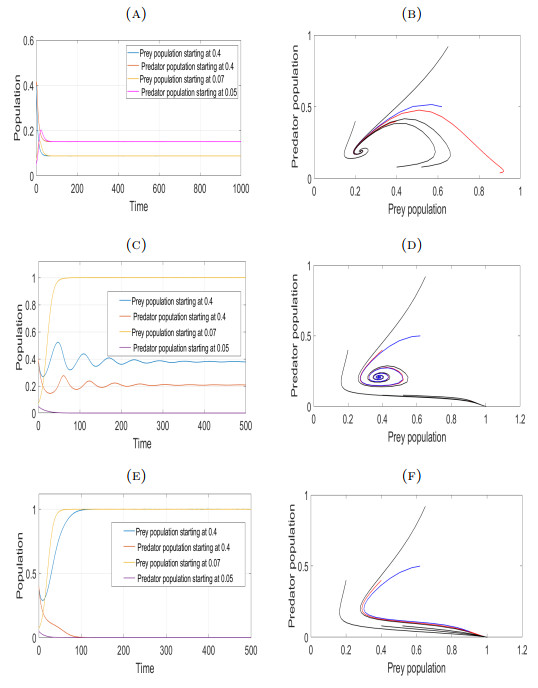Bifurcation analysis within a modified May-Holling-Tanner Prey-Predator ...